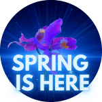 Promotions : Kudos Casino